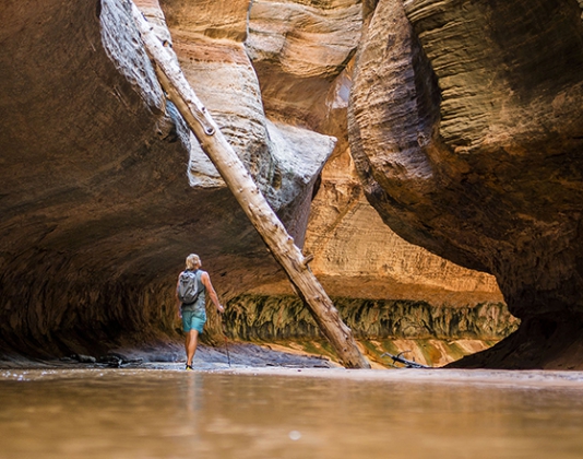 OCOS Staar AG – STAAR Surgical Online Calculation & Ordering System